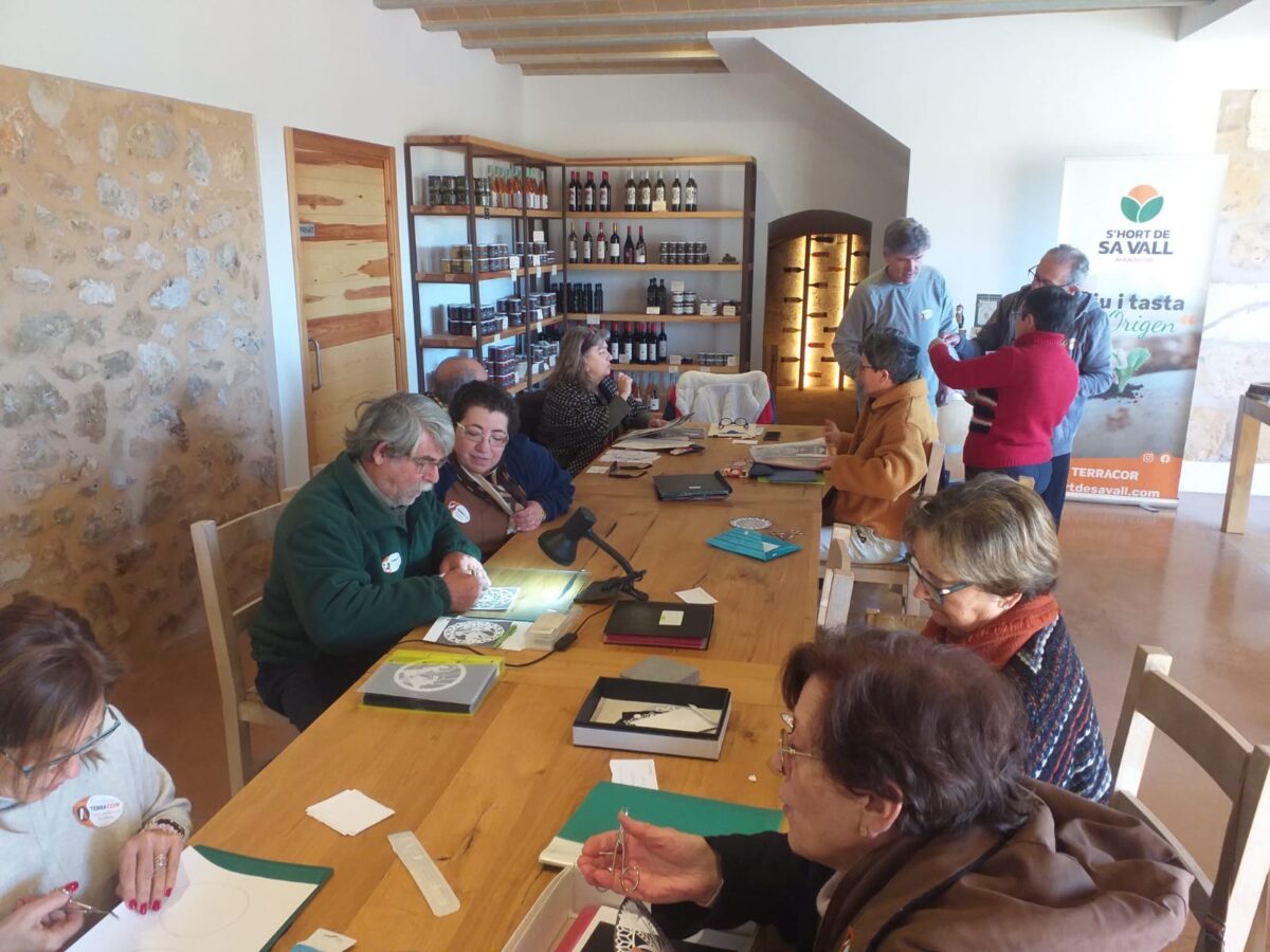 Exitosa trobada neulera a s’Hort de sa Vall de Manacor - ManacorComarcal
